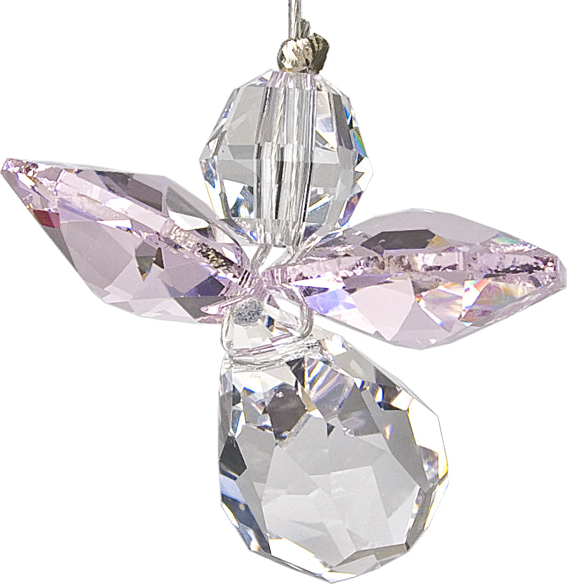 Rose Guardian Angel (October) – Gift N Garden